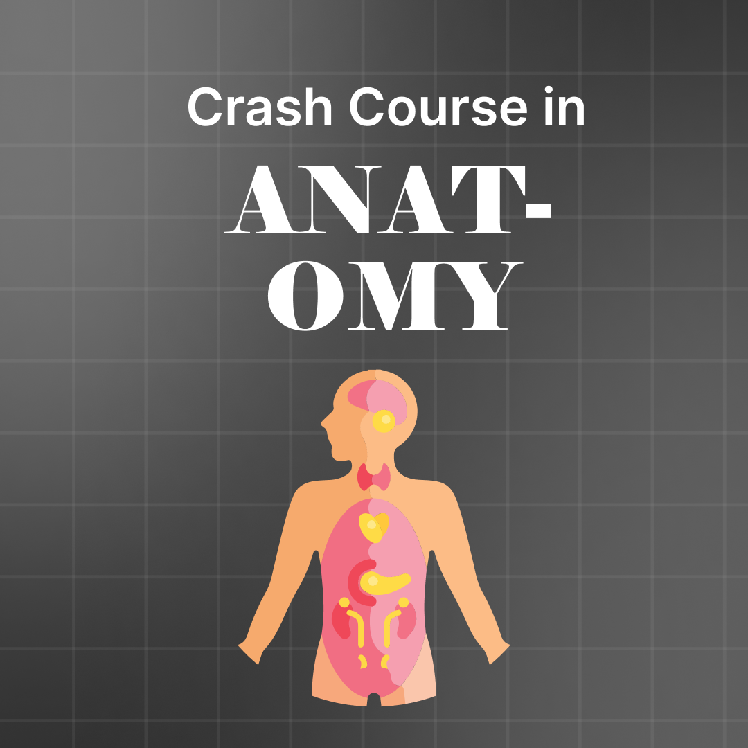 Anatomy Crash Course Online Mbbs Bds Physiotherapy Exam Preparation